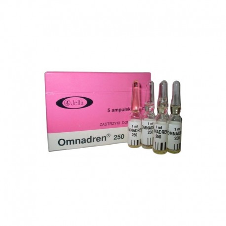 Omnadren 250, 1 ml Amp (250 mg / amp) - Buy Injectional Steroids